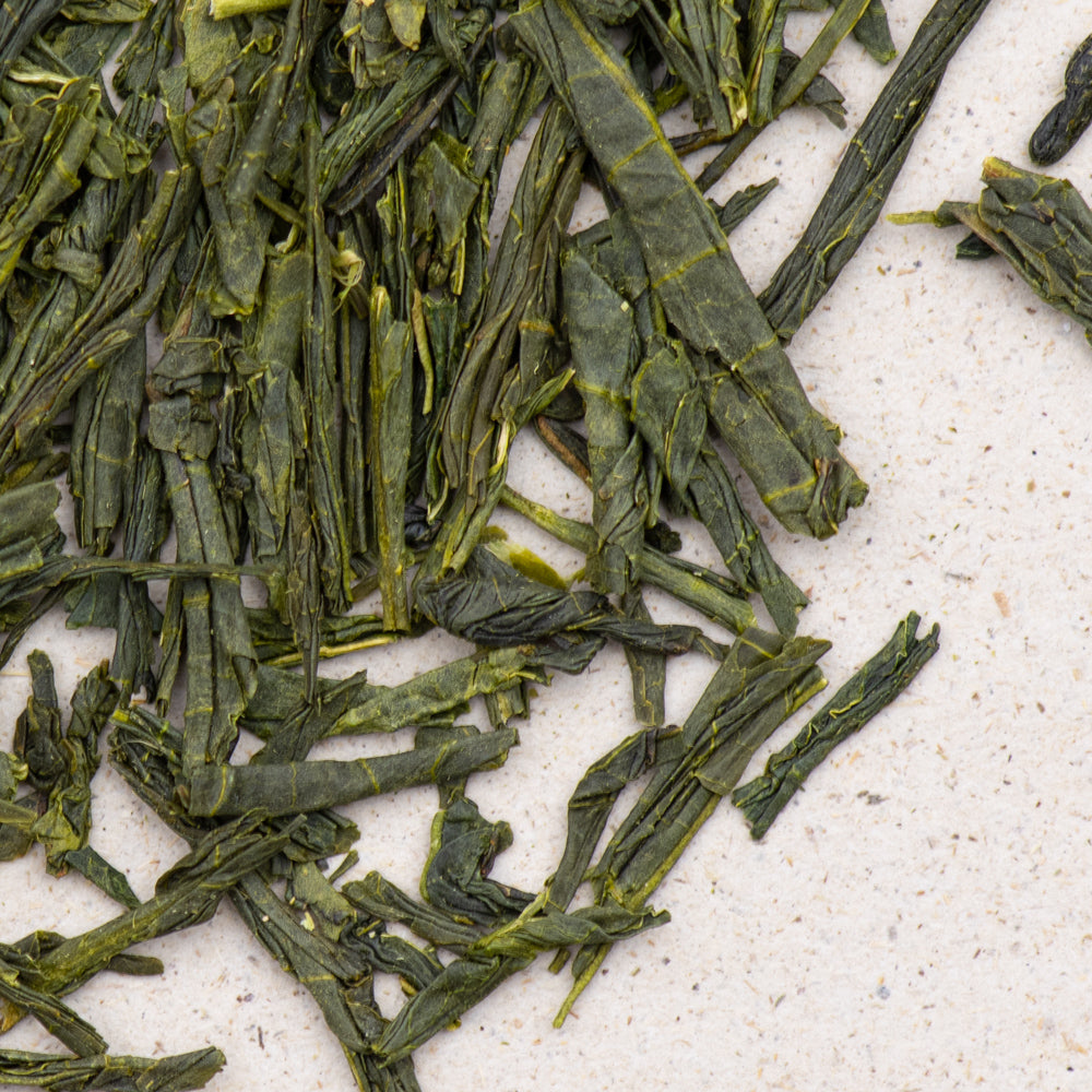 Japan Grüntee bio Superior Bancha - mit Kiloaktion von teewerk.ch